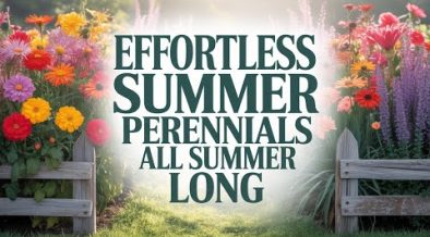 13 Perennials That Honor the American Spirit of Self-Reliance and ...