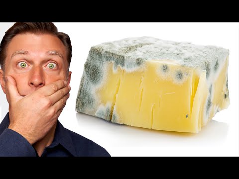 Discover the Hidden Dangers of Mold: What You Need to Know Now ...